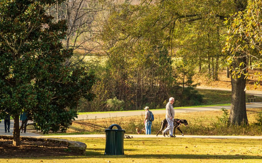 Things to do in Wake Forest, NC | Copper Builders
